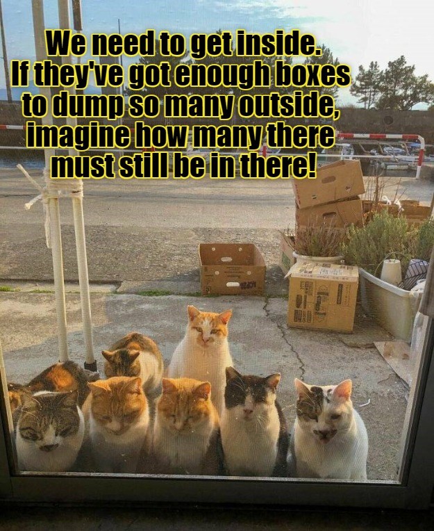 palingates: Sarah Palin would love to interview Scott Brown - UPDATE!