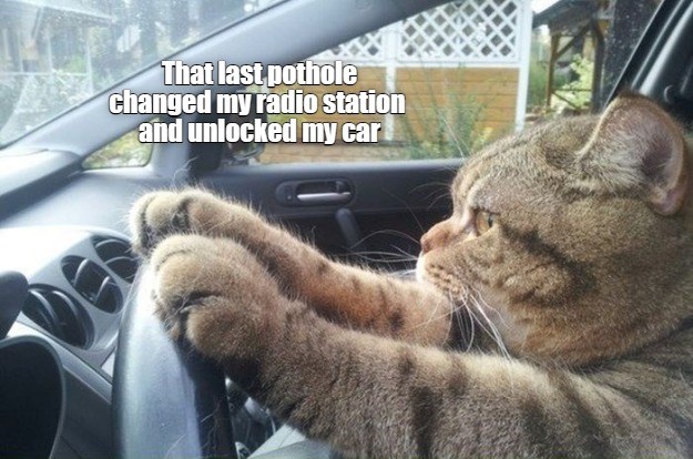 Potholes - Lolcats - lol | cat memes | funny cats | funny cat pictures ...