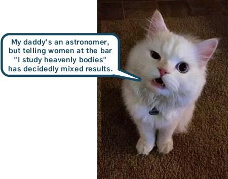 Otherworldly pick-up line - Lolcats - lol | cat memes | funny cats ...