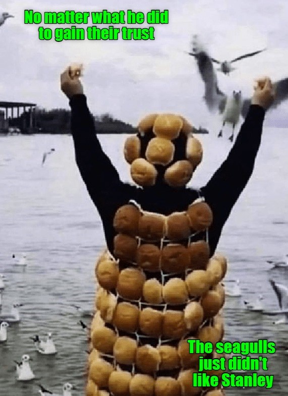 Gullible - Animal Comedy - Animal Comedy, funny animals, animal gifs