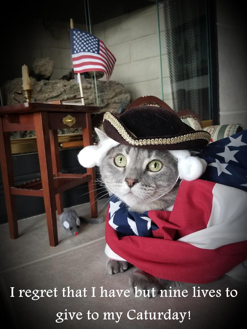 Nine lives - Lolcats - lol | cat memes | funny cats | funny cat ...