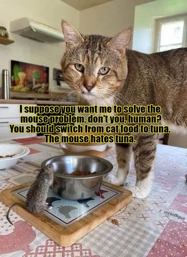 Problem solved! - I Can Has Cheezburger?