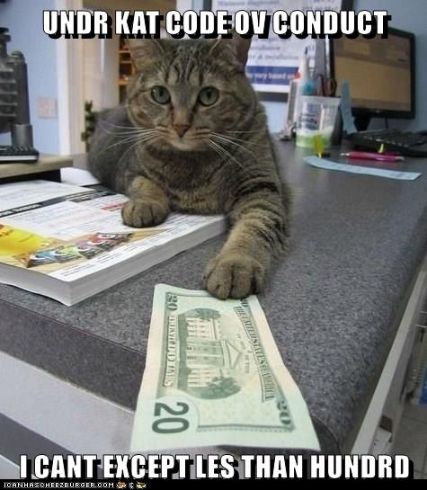 Code of conduct - Lolcats - lol | cat memes | funny cats | funny cat ...