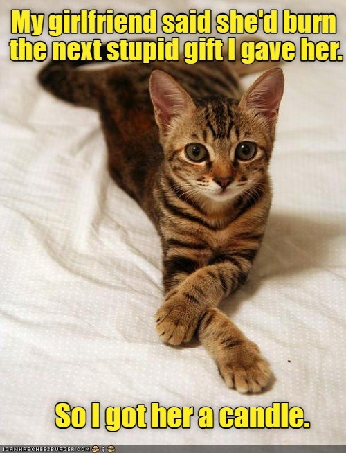 There's no flame like an old flame - Lolcats - lol | cat memes | funny ...