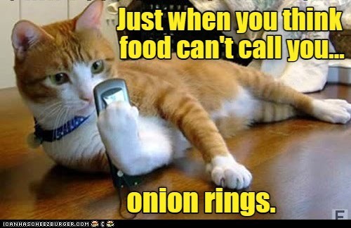 I just have to answer this - Lolcats - lol | cat memes | funny cats ...