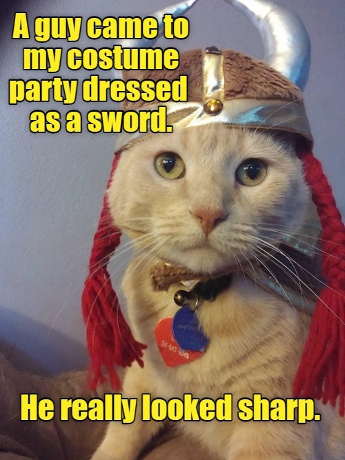 His costume was a cut above the others - Lolcats - lol | cat memes ...