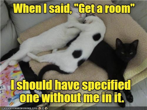 Technicalities - Lolcats - lol | cat memes | funny cats | funny cat ...