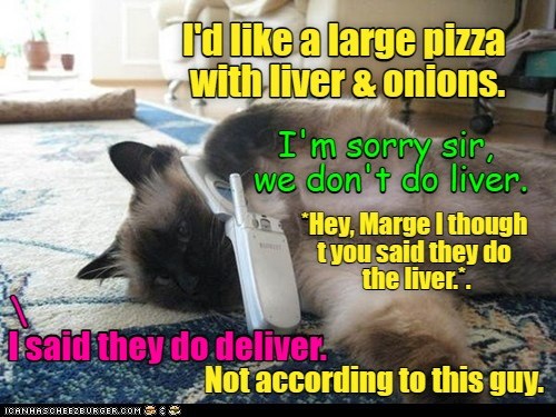 Lost in translation - Lolcats - lol | cat memes | funny cats | funny ...