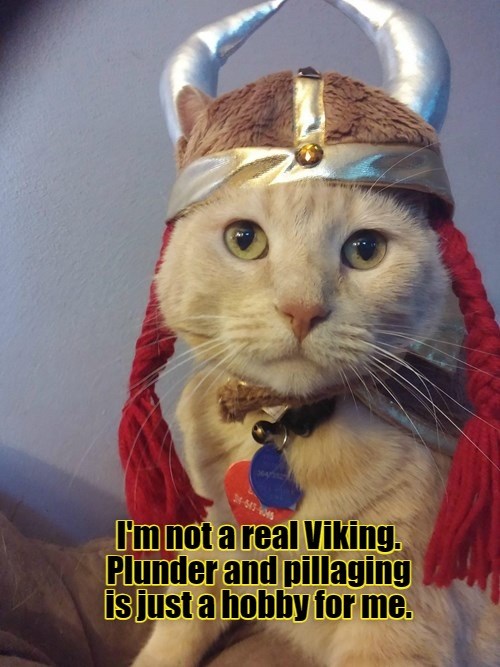 Just a hobby - Lolcats - lol | cat memes | funny cats | funny cat ...