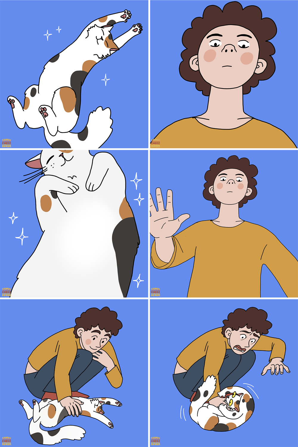 Cat Belly Trap - I Can Has Cheezburger?