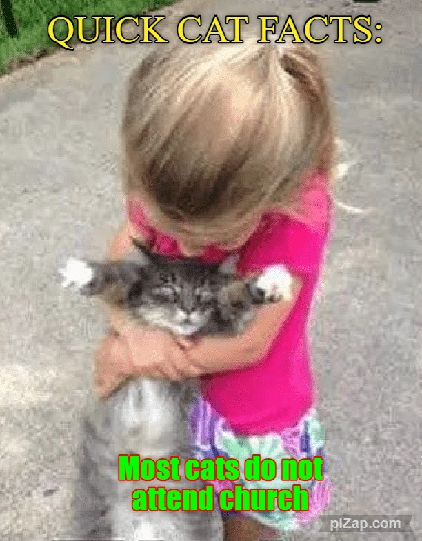 Cats answer to a higher authority - Lolcats - lol | cat memes | funny ...