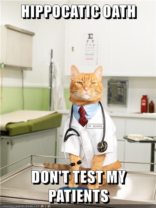 Don't test my patients - Lolcats - lol | cat memes | funny cats | funny ...