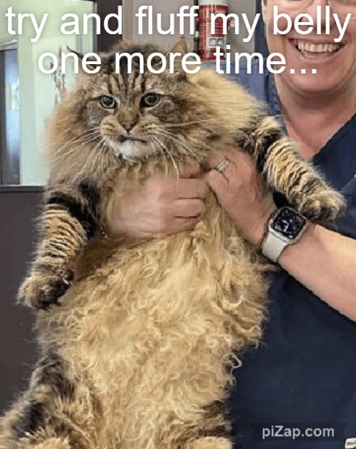 Inception Fluff Memes