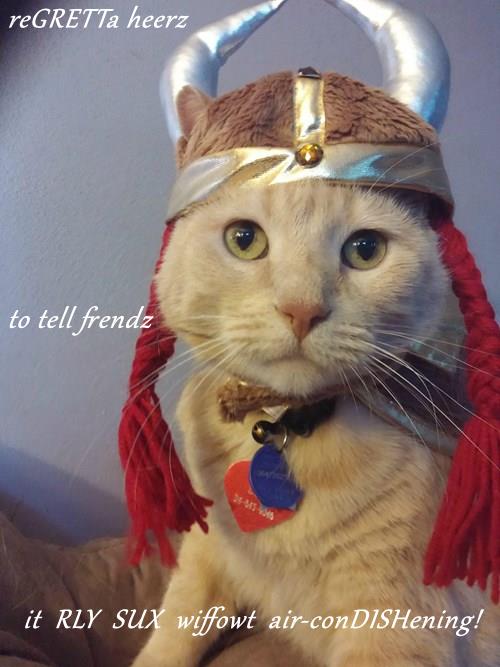 The ruler has spoken - Lolcats - lol | cat memes | funny cats | funny ...