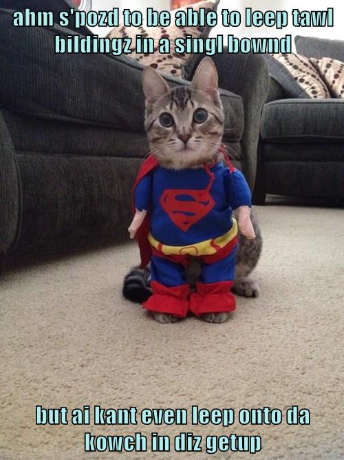 This getup - Lolcats - lol | cat memes | funny cats | funny cat ...