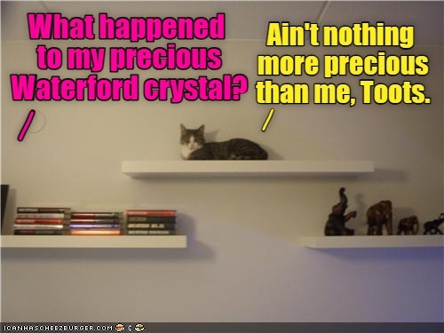 Nothing - Lolcats - lol | cat memes | funny cats | funny cat pictures ...