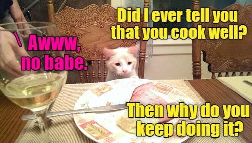 Someone is about to be cooked - Lolcats - lol | cat memes | funny cats ...