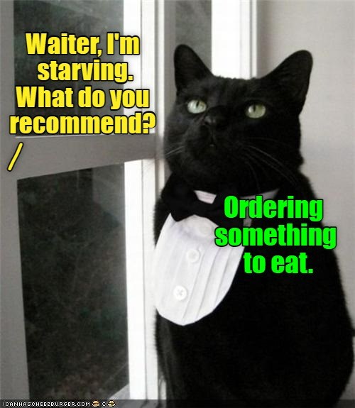 Ask a stupid question... - Lolcats - lol | cat memes | funny cats ...