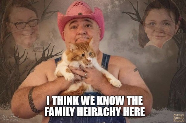 Only one option - Lolcats - lol | cat memes | funny cats | funny cat ...