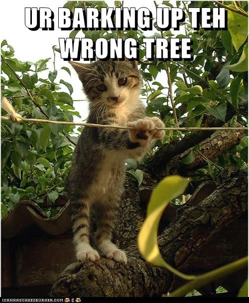 Baking up the wrong tree - Lolcats - lol | cat memes | funny cats ...