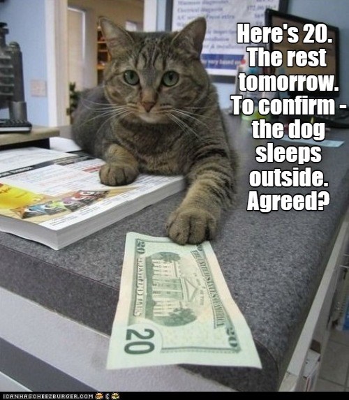An offer - Lolcats - lol | cat memes | funny cats | funny cat pictures ...