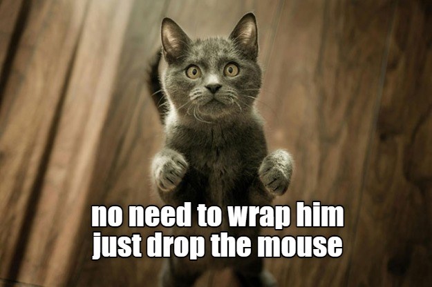 I promise I'll catch him - Lolcats - lol | cat memes | funny cats ...