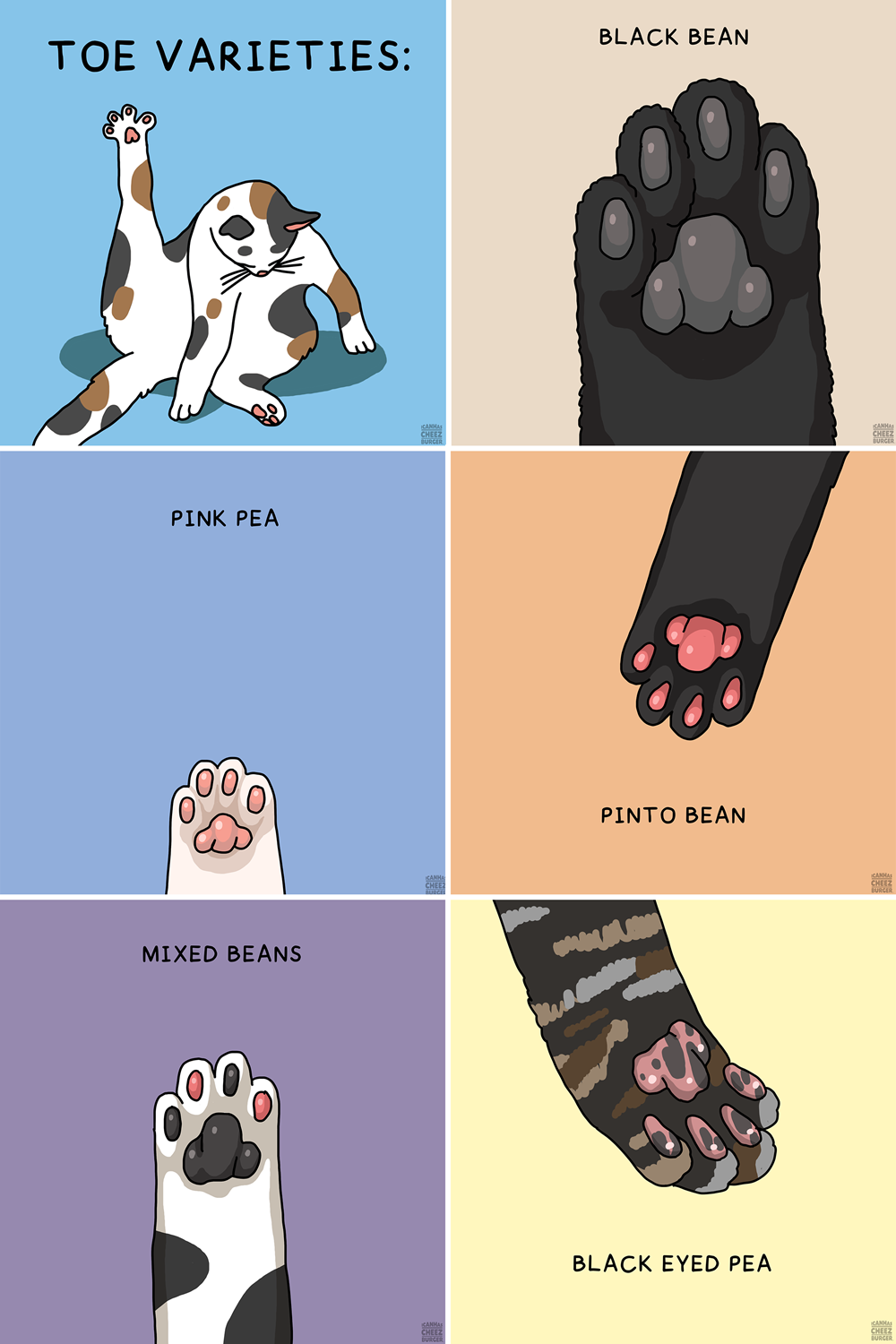 Toe Varieties - I Can Has Cheezburger?