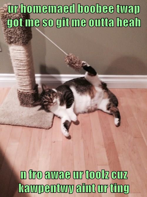 Homemade - I Can Has Cheezburger?