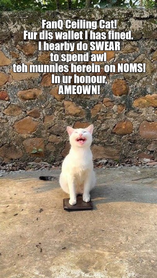 Amen - Lolcats - lol | cat memes | funny cats | funny cat pictures with ...