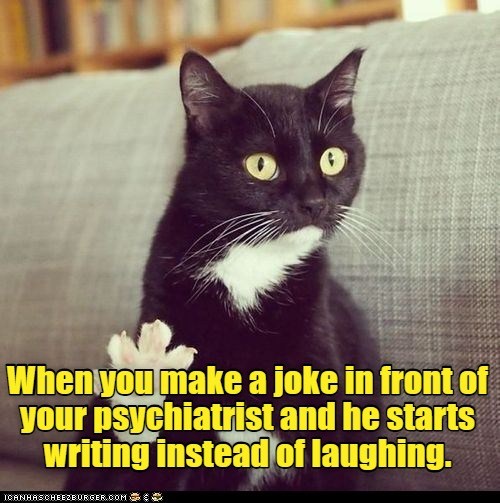 Oops, I think I said the wrong thing. - Lolcats - lol | cat memes ...