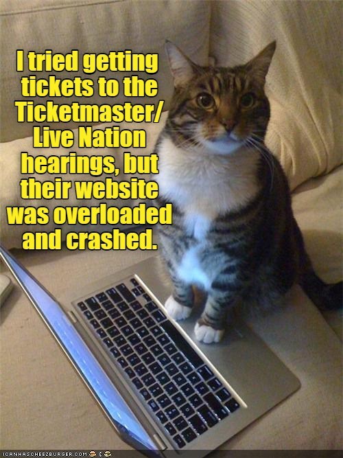 Irony - Lolcats - lol | cat memes | funny cats | funny cat pictures ...