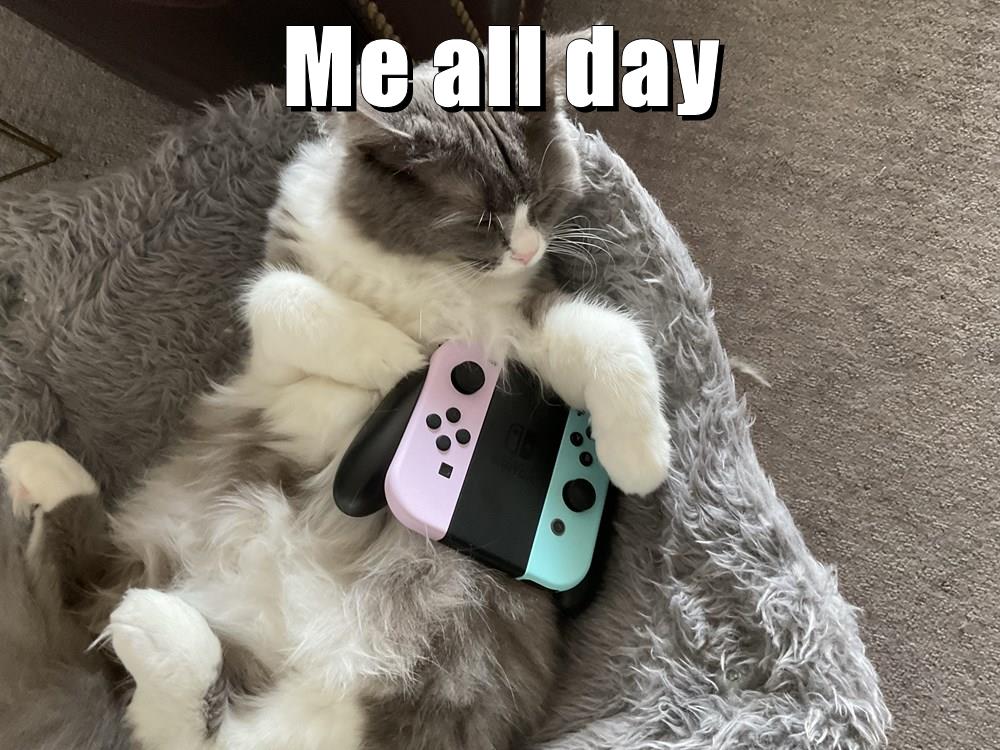 Me all day - Lolcats - lol | cat memes | funny cats | funny cat ...