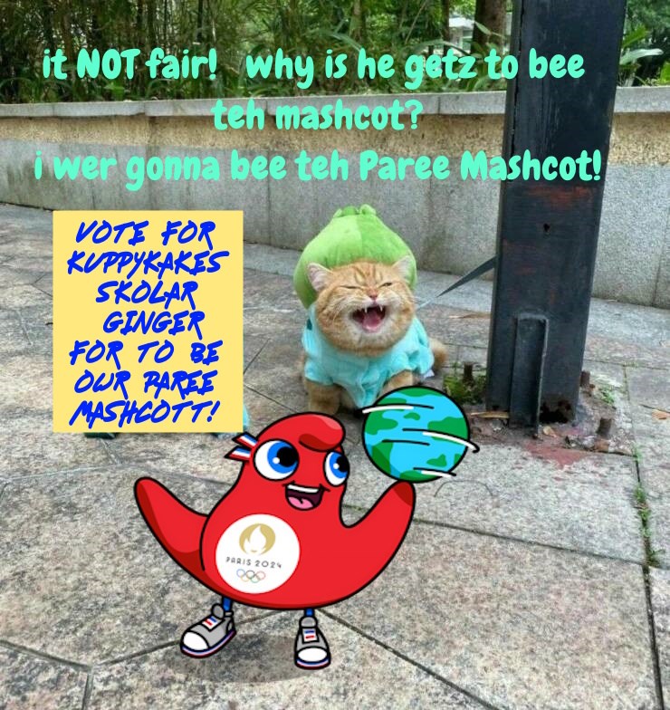 Vote to make Ginger our mascot for the Olympics - Lolcats - lol | cat ...