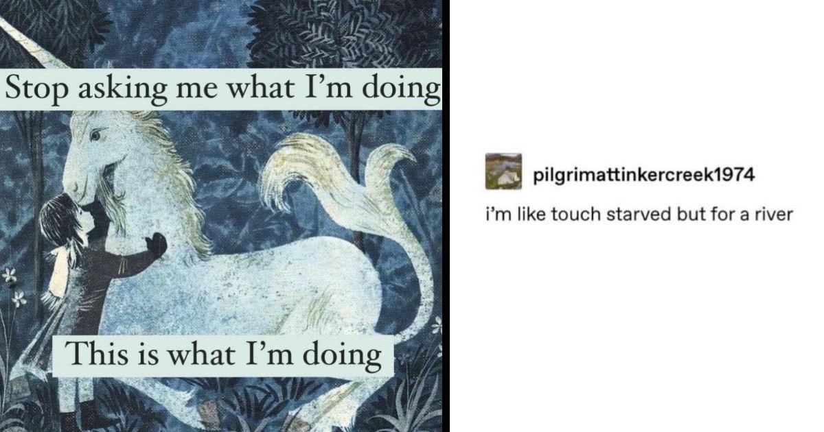 Cottage Core Memes For Witchy Types - Memebase - Funny Memes