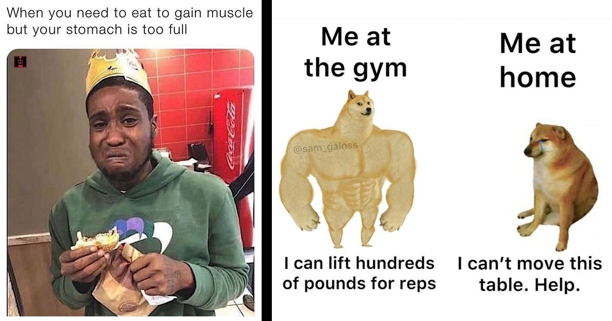 30 Workout Memes for Maximum Gains - Memebase - Funny Memes
