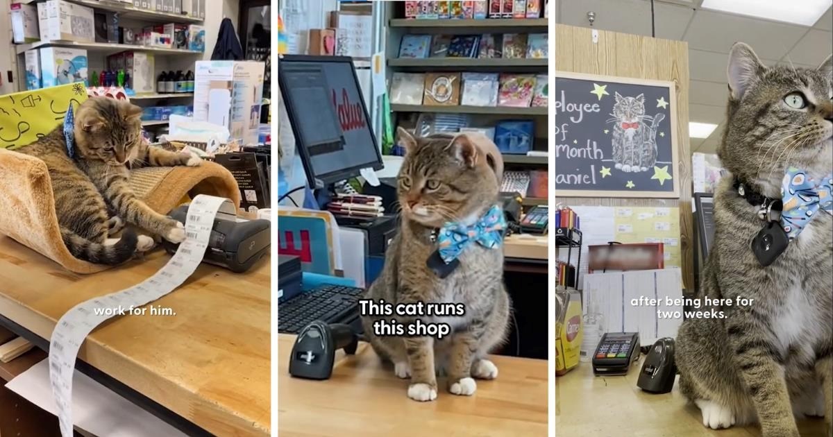 Coworkers Get Fed Up After the New Hire Gets Elected Employee of the ...
