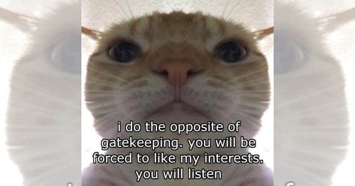 Freshly Baked Cat Memes to Purruse While Your Feline Friends Knead ...