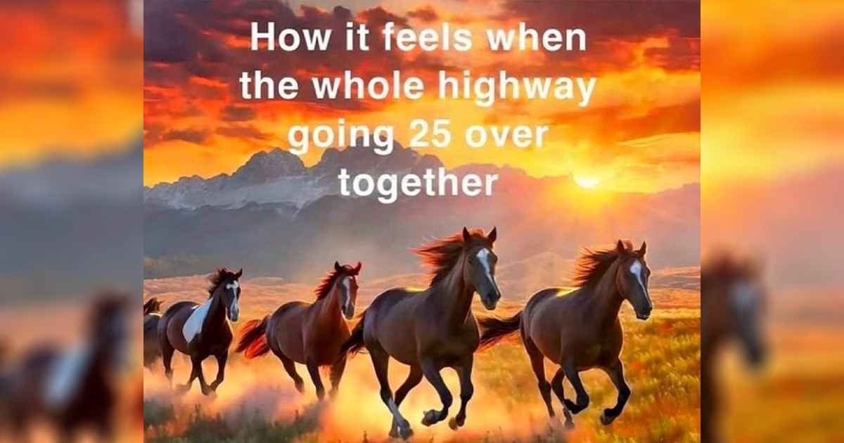 25+ Memes Dancing on Their Own - Memebase - Funny Memes