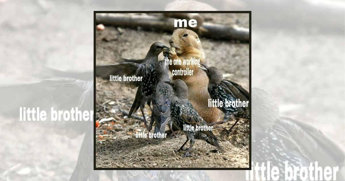22 Funny Animal Memes That Are Too Good Not to Share - Animal Comedy ...