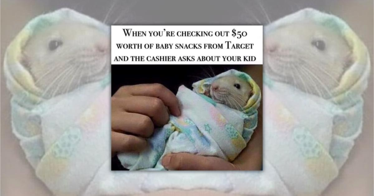 'Tiny grippers clutching stolen snacks': 21 Relatable Rat Memes for ...