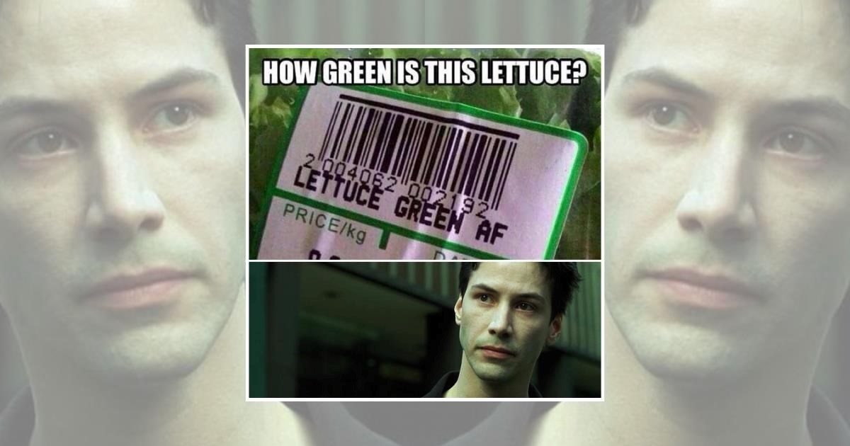 A Mind-Bending Collection of “Welcome to the Real World” Matrix Memes ...