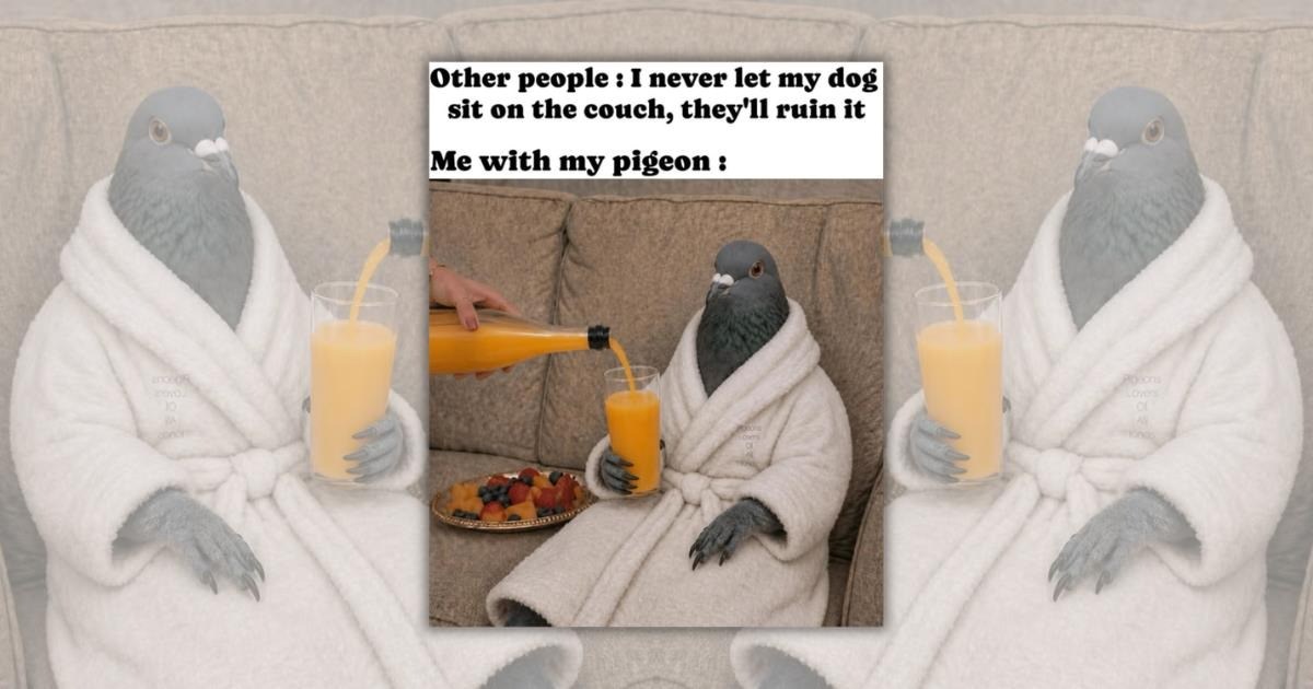 A Lovely Little Batch of Dove Memes for Fans of Feathers and Backyard ...